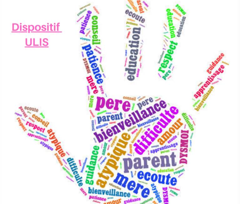 Présentation ULIS - Groupe scolaire Saint Joseph Dijon